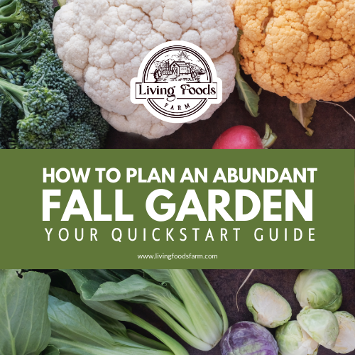 Fall Garden Workshop – Living Foods Farm